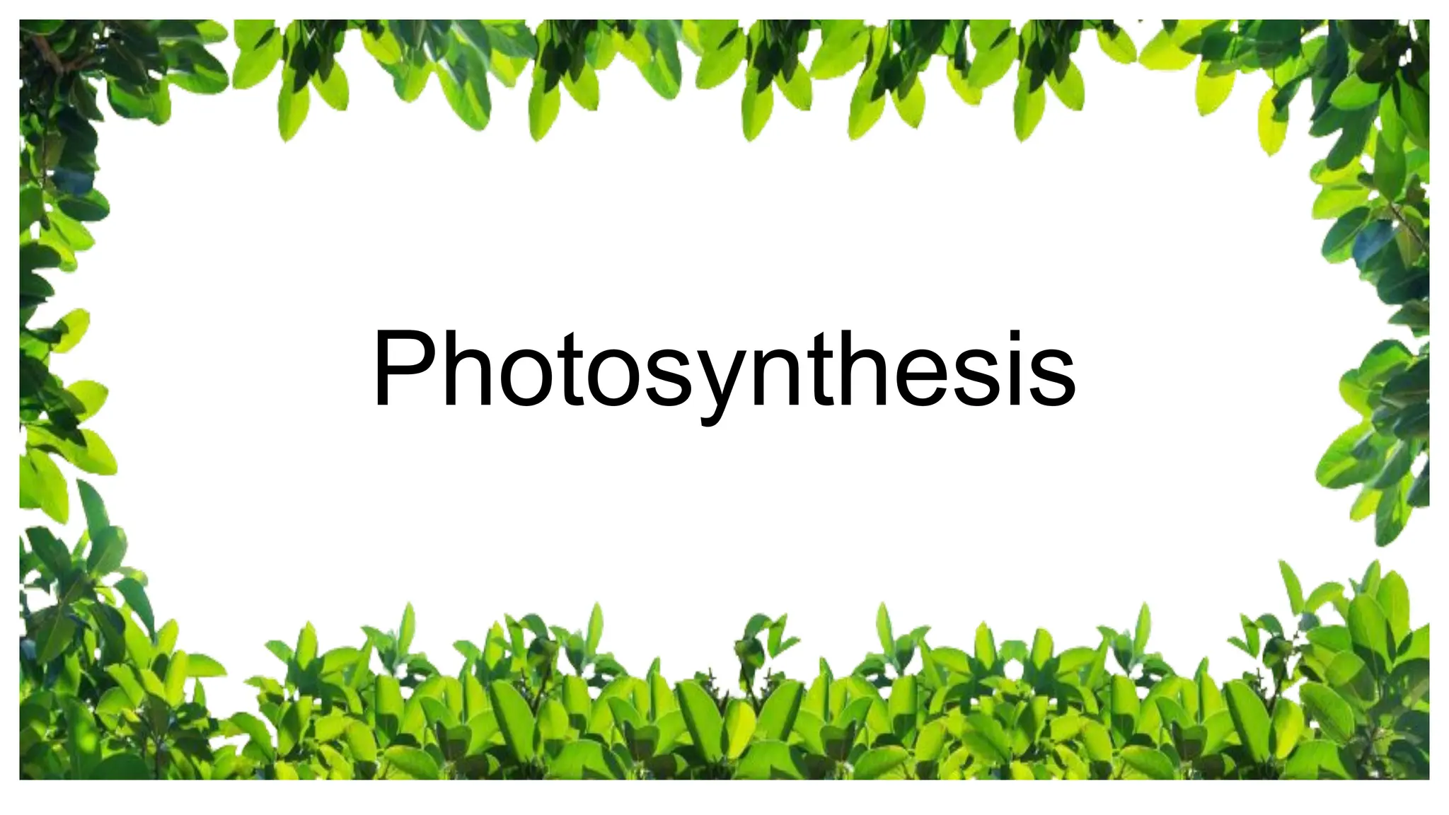 08 Photosynthesis Fifth standard characters | PPT