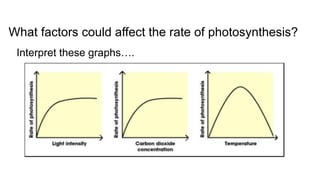 08 Photosynthesis Fifth standard characters | PDF
