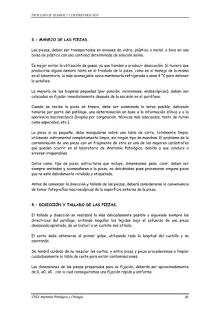 08 piezas macroscópicas | PDF