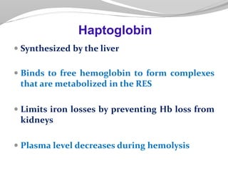 08 Plasma Proteins. Human Physiology ppt | PPT