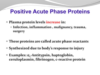 08 Plasma Proteins. Human Physiology ppt | PPT