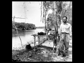 08primitive-body........................................ppt