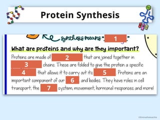 08 Protein Synthesis Doodle Notes - Answer Key.pptx