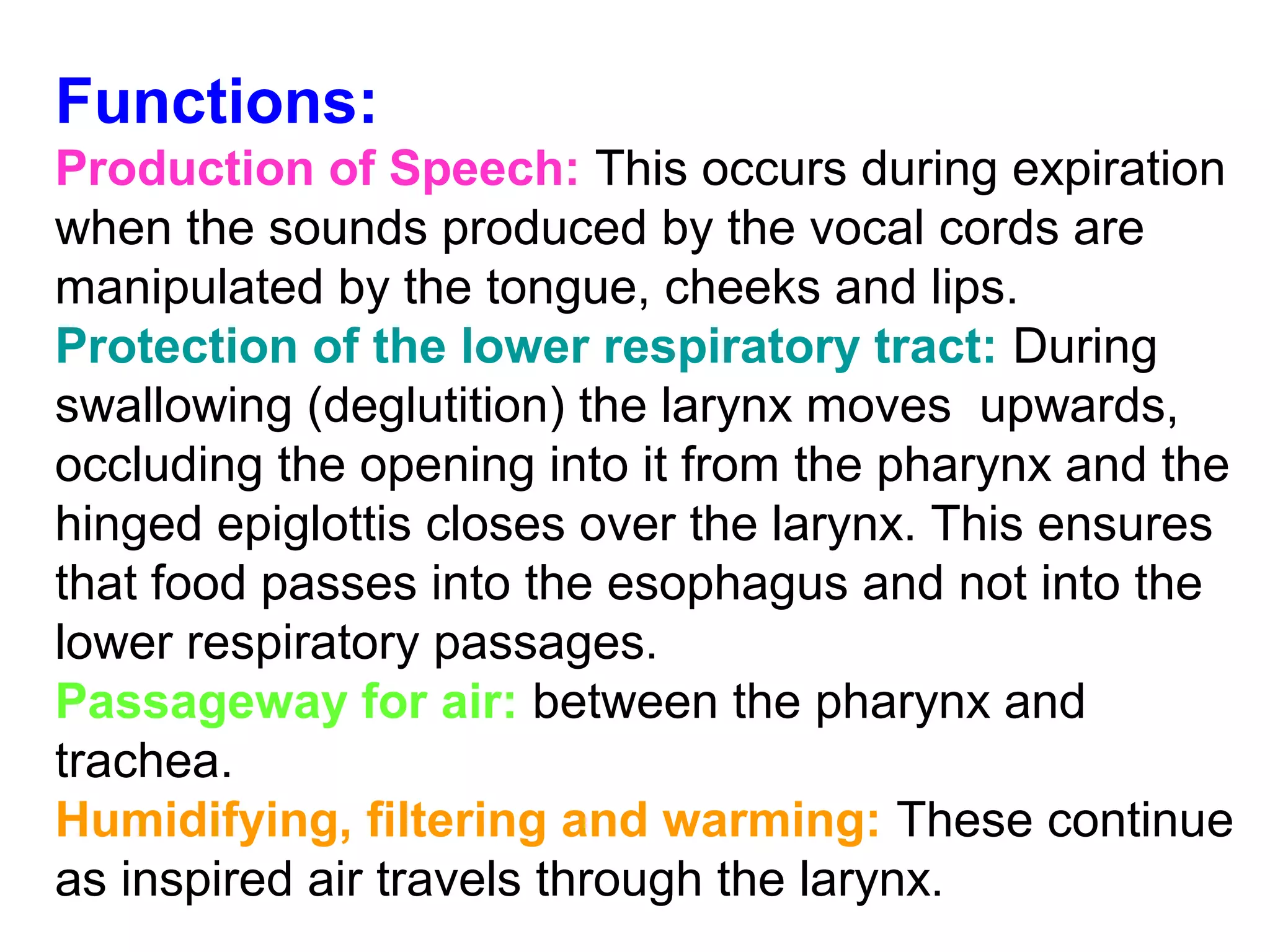 08 respiratory system | PPT