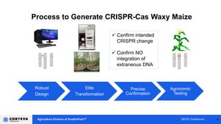 Next-generation waxy corn – a flagship case of SDN-1/NHEJ genome ...