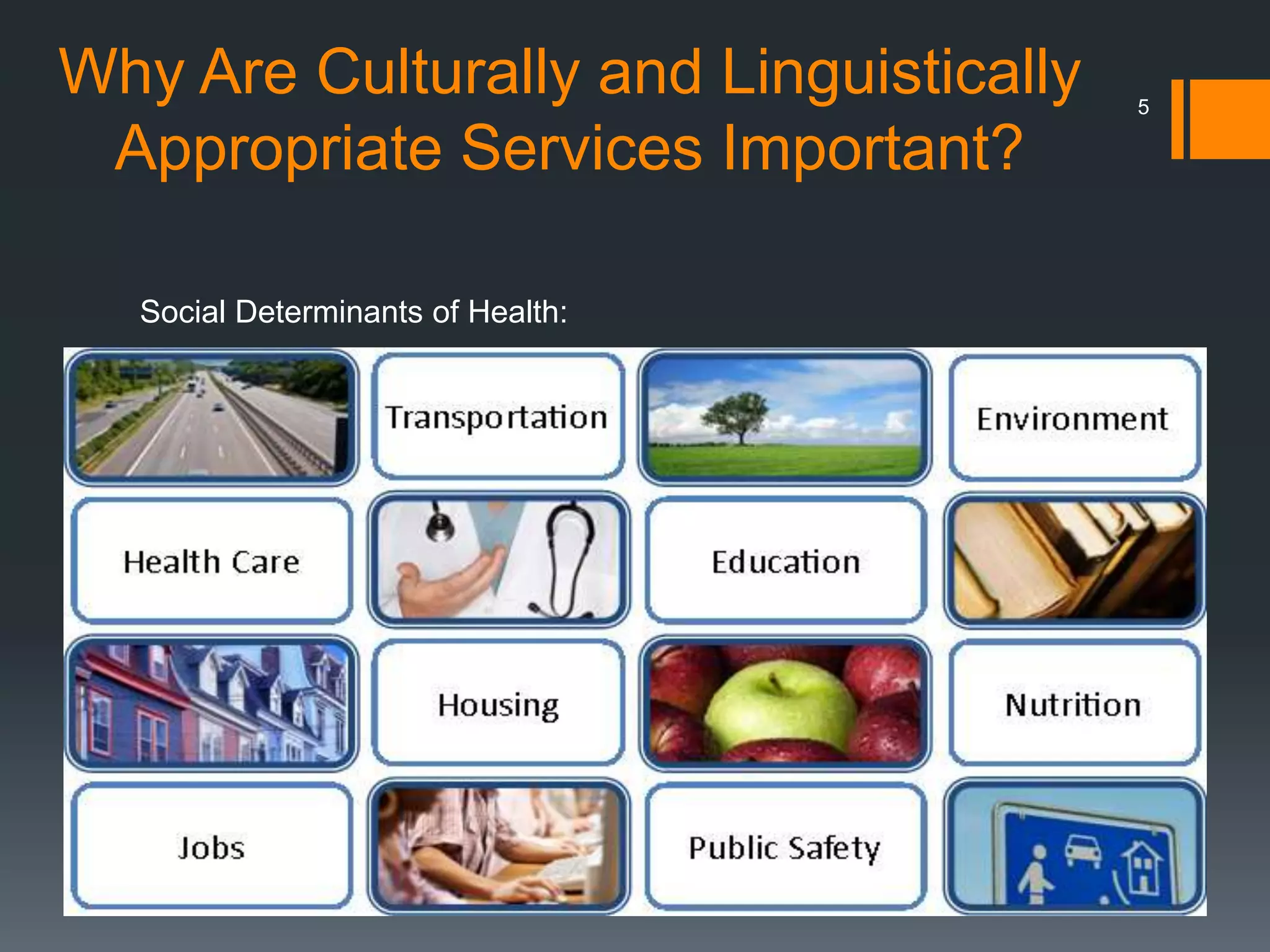 Utilizing National CLAS Standards (Cultural and Linguistic Appropriate ...