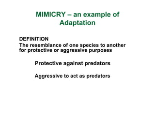 Mimicry in animals insects colour likes and dislikes .ppt