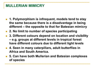 Mimicry in animals insects colour likes and dislikes .ppt