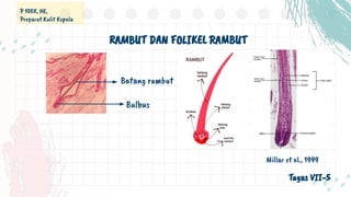Presentasi edukasi mengenai sistem integumen pada hewan | PPT