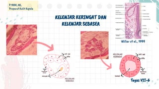 Presentasi edukasi mengenai sistem integumen pada hewan | PPT
