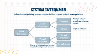 Presentasi edukasi mengenai sistem integumen pada hewan | PPT