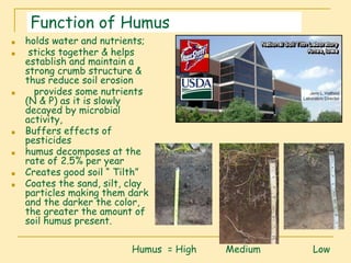 08 Soil OM of soil basics........ppt.pdf