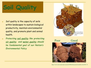 08 Soil OM of soil basics........ppt.pdf