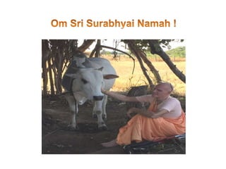 Srila Prabhupada's Varnasrama Mission | PPTX