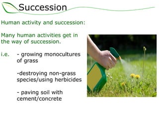 08 succession | PPTX