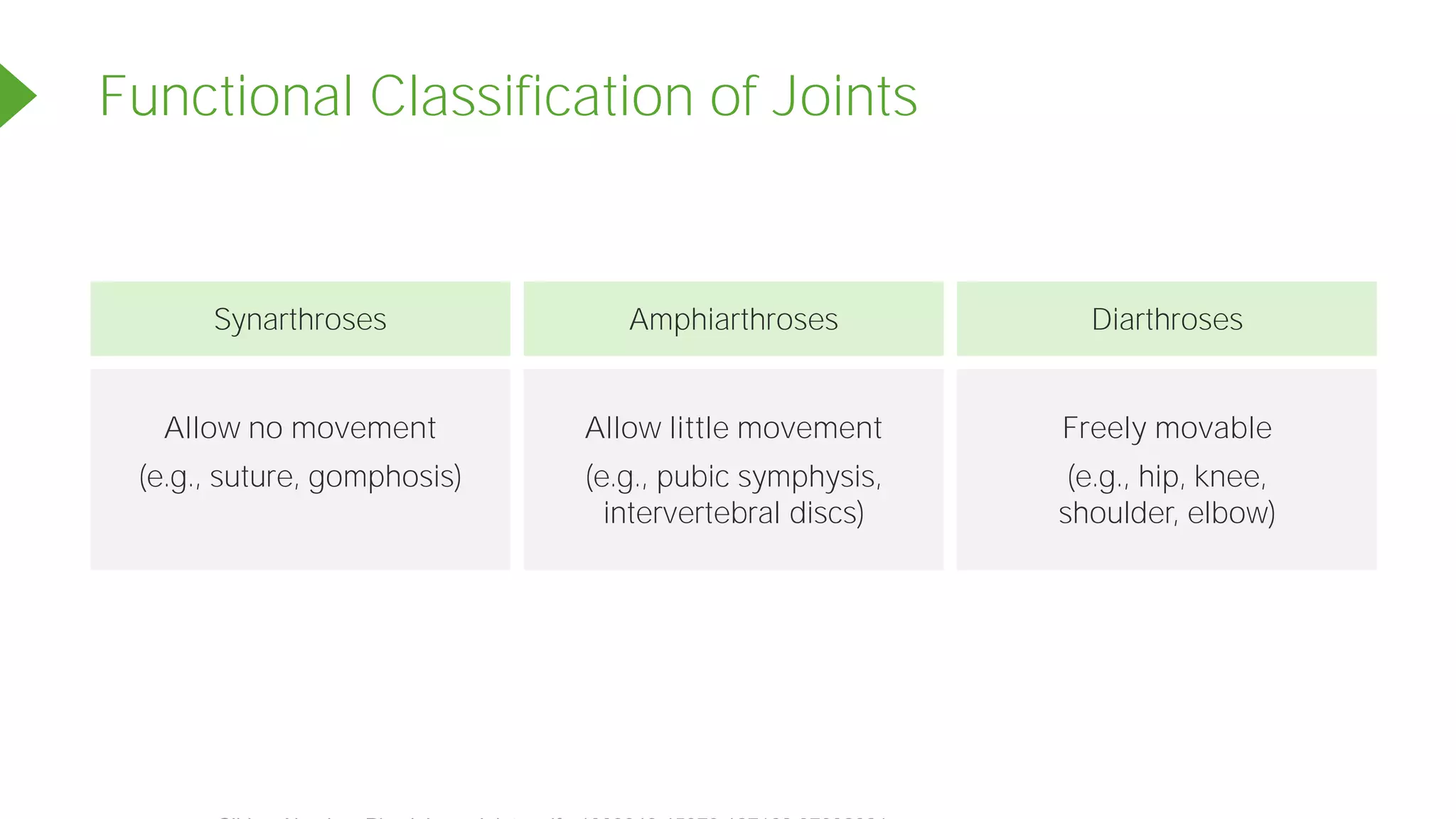 08 The Skeletal System - Joints (1).pdf