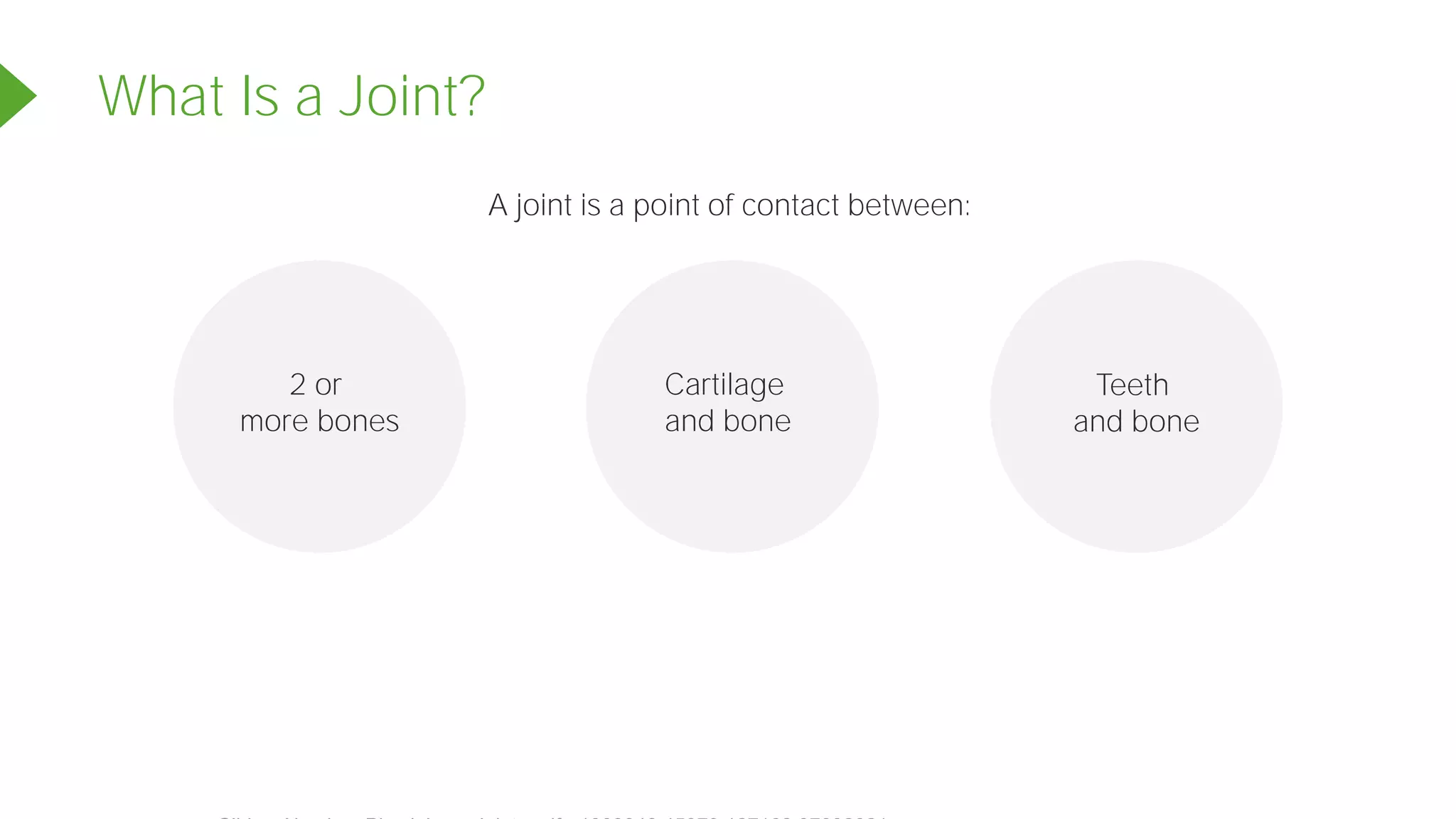 08 The Skeletal System - Joints (1).pdf