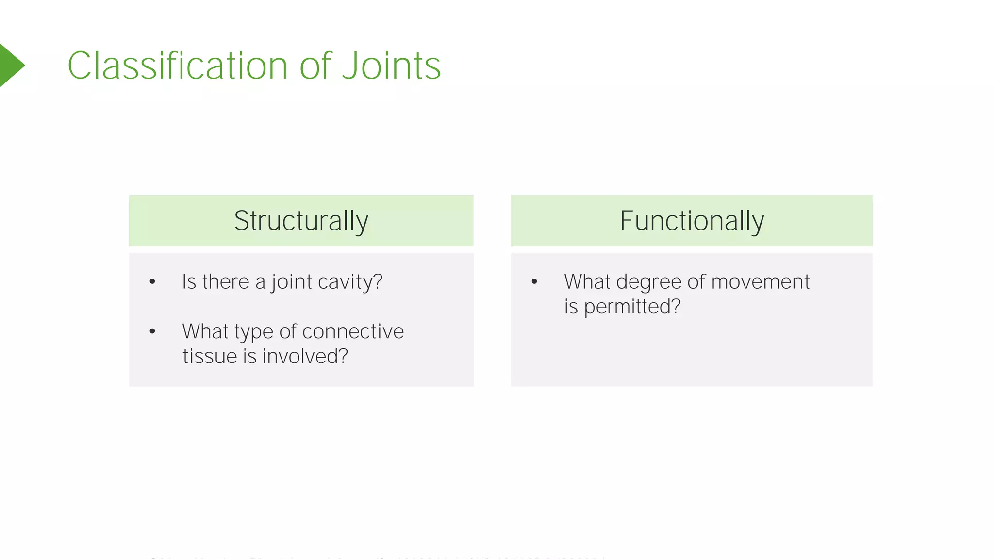 08 The Skeletal System - Joints (1).pdf