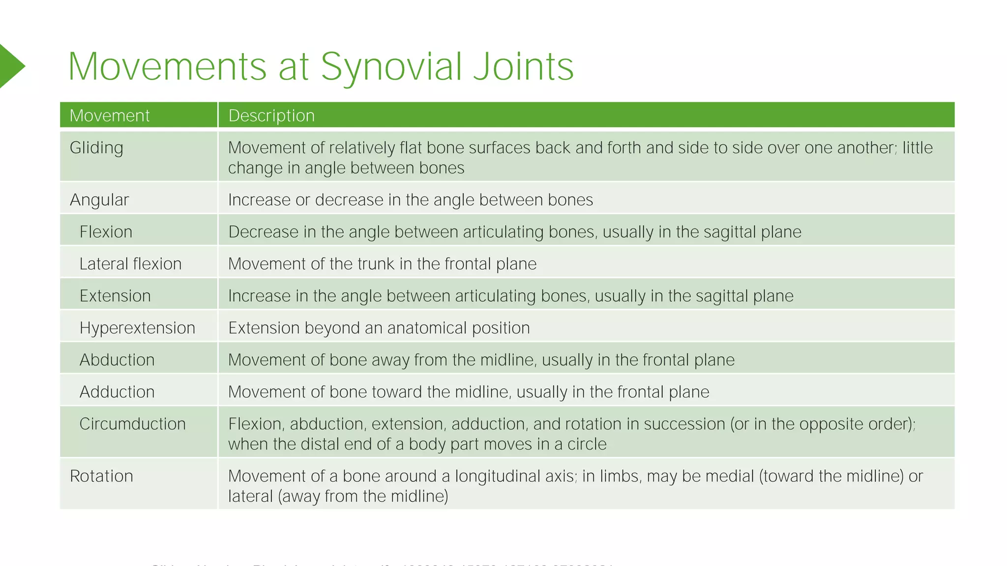 08 The Skeletal System - Joints (1).pdf