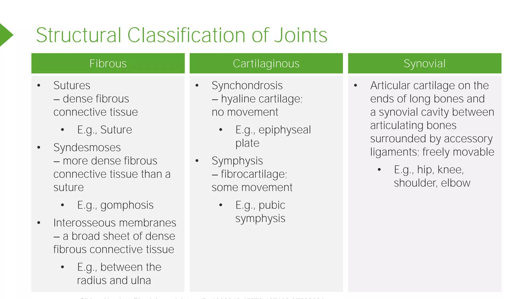 08 The Skeletal System - Joints (1).pdf