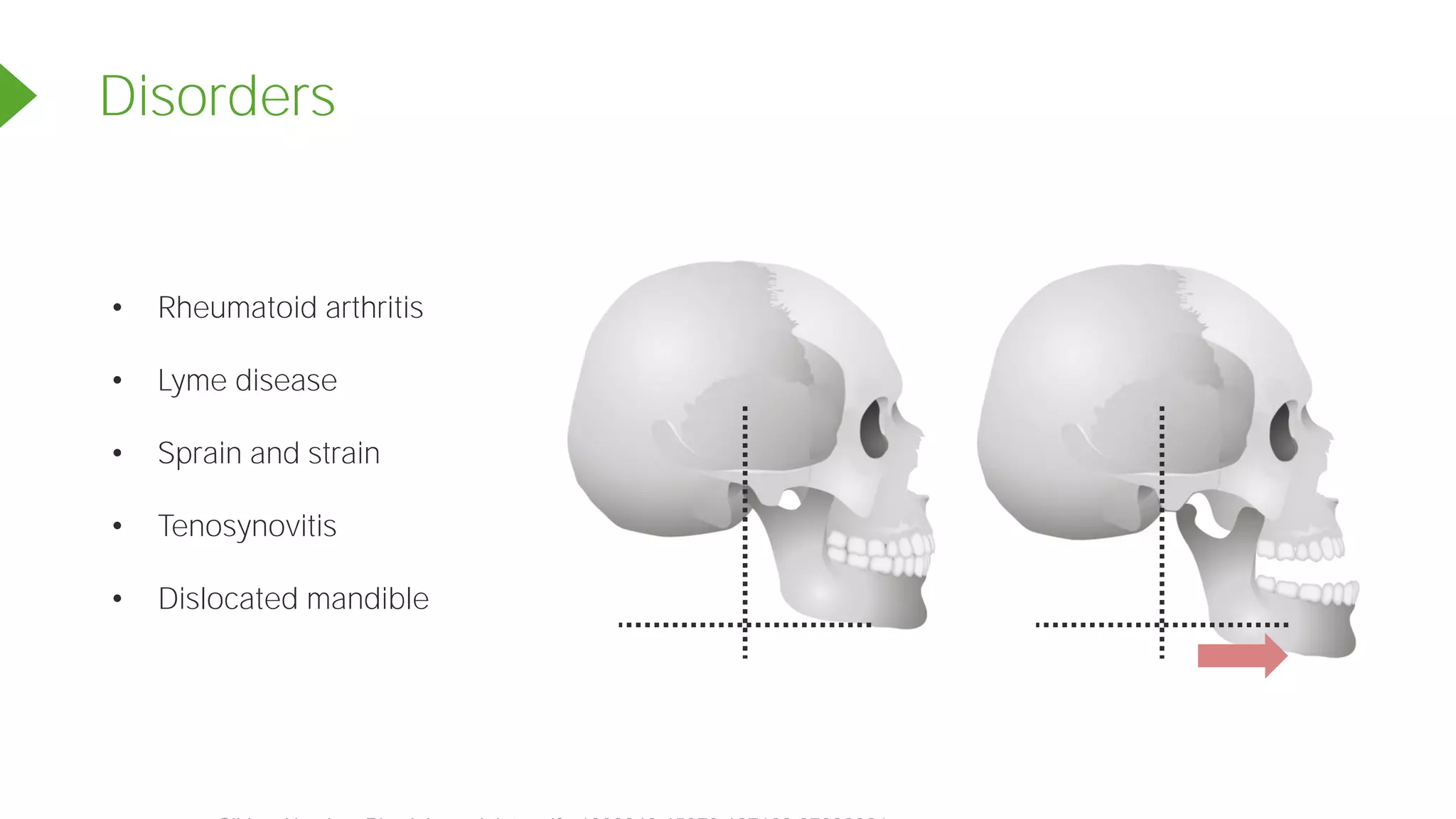 08 The Skeletal System - Joints (1).pdf