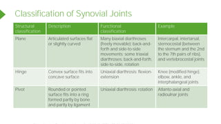 08 The Skeletal System - Joints (1).pdf