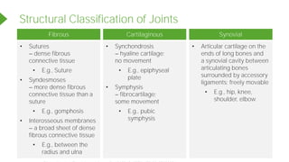 08 The Skeletal System - Joints (1).pdf
