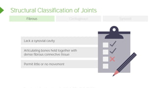 08 The Skeletal System - Joints (1).pdf