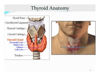 08Thyroid.pdf ultrasound of the thyroid. | PPT