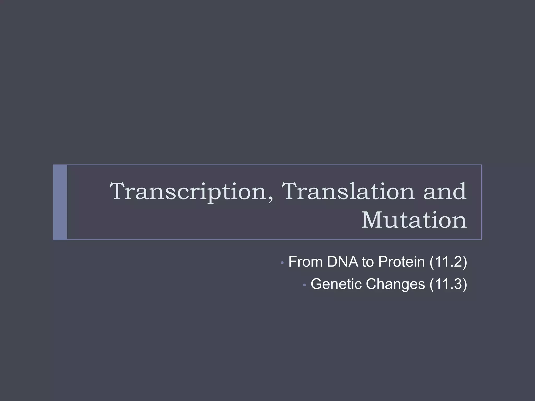 08 Transcription Translation And Mutation Pptx Programming Languages Computing
