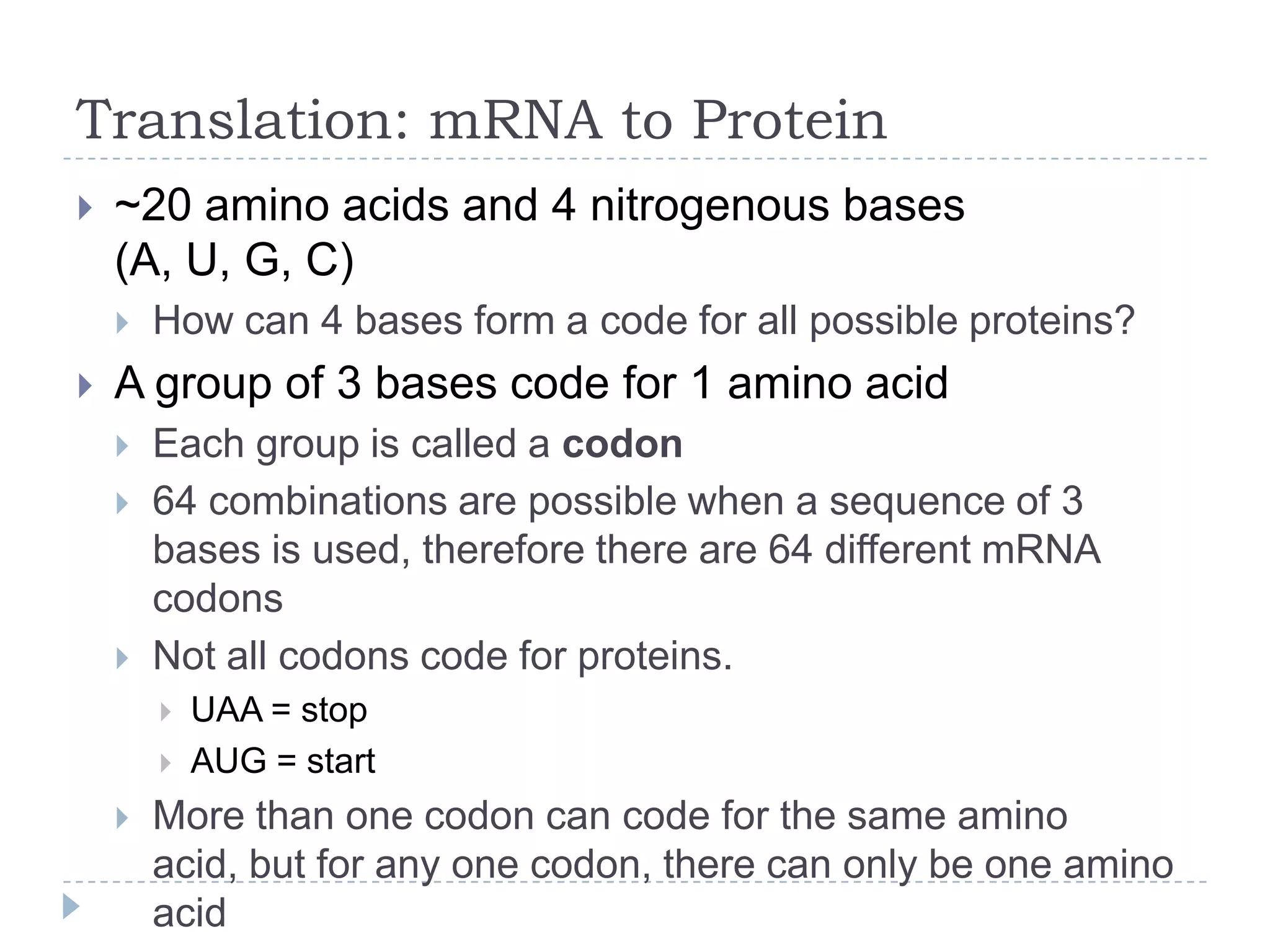 08 transcription, translation and mutation | PPTX | Programming Languages | Computing