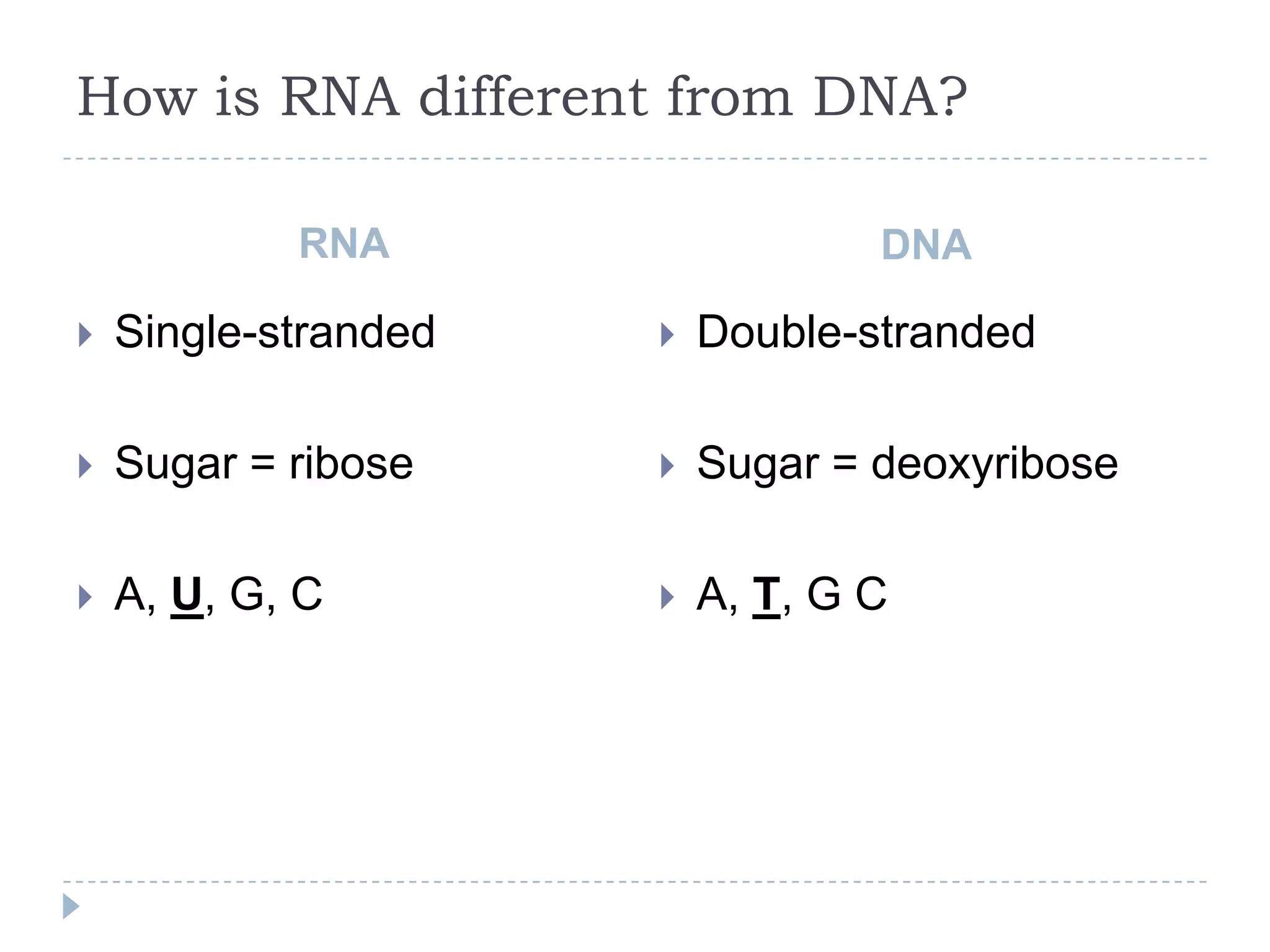 08 Transcription Translation And Mutation Pptx Programming Languages Computing