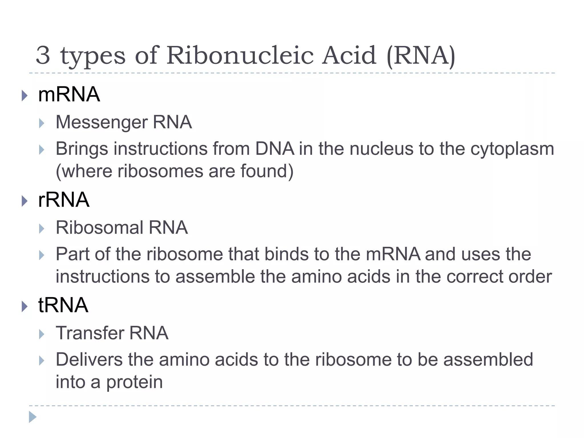 08 transcription, translation and mutation | PPTX | Programming Languages | Computing