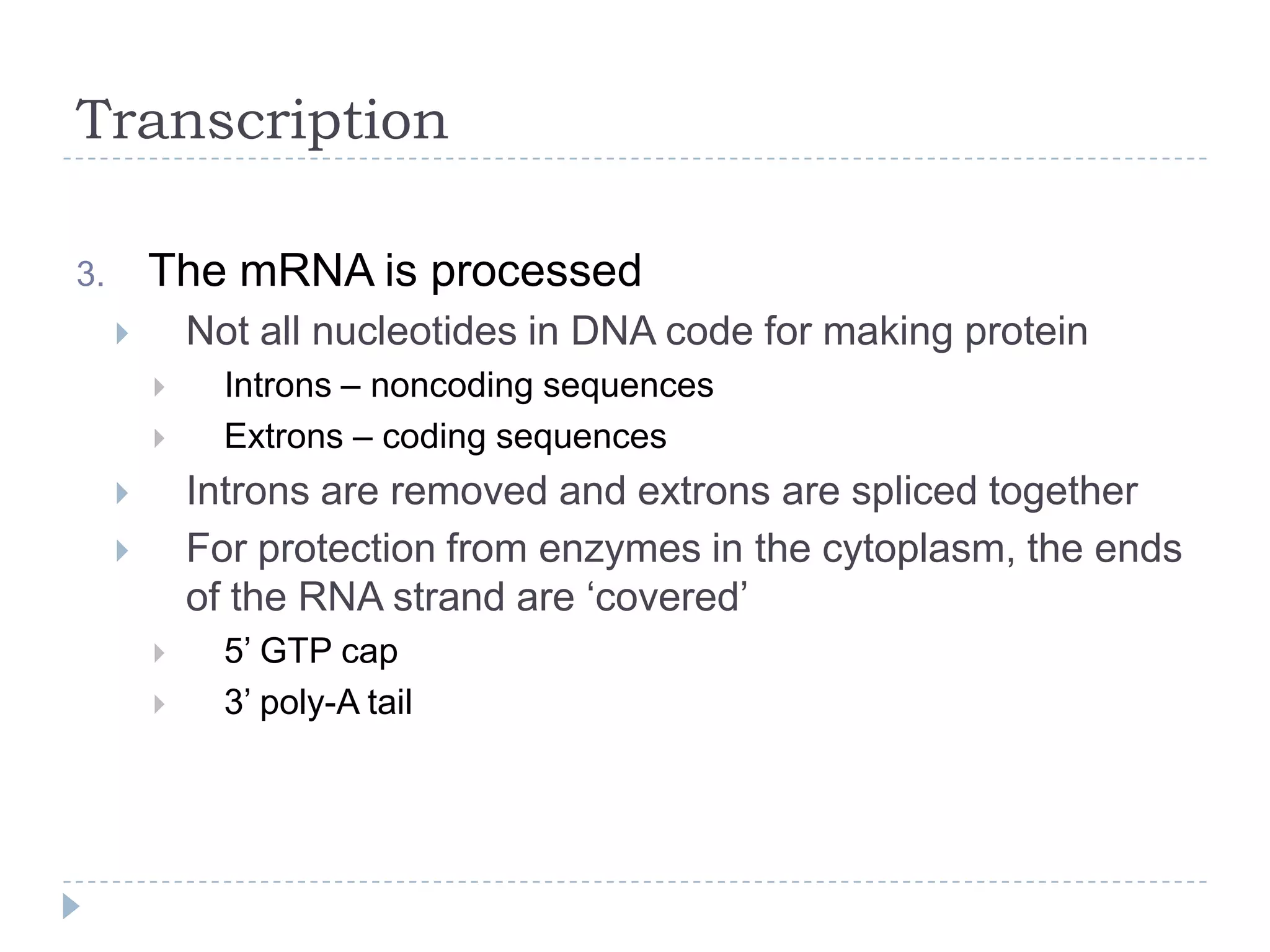 08 Transcription Translation And Mutation Pptx Programming Languages Computing