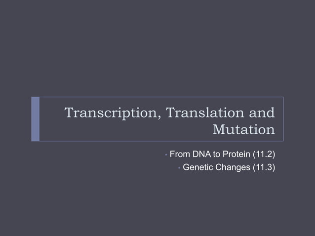 08 transcription, translation and mutation | PPTX | Programming Languages | Computing