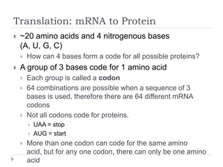 08 transcription, translation and mutation | PPTX | Programming Languages | Computing