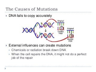 08 transcription, translation and mutation | PPTX