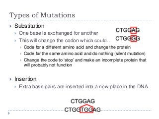 08 transcription, translation and mutation | PPTX