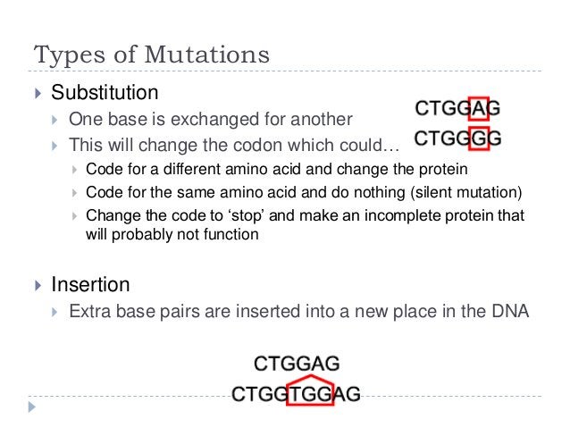 08 Transcription Translation And Mutation Pptx Programming Languages Computing