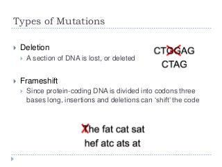 08 transcription, translation and mutation | PPTX | Programming Languages | Computing