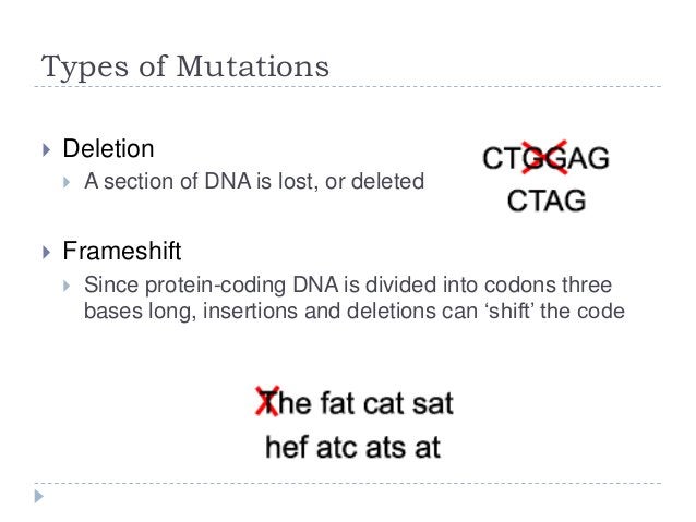 08 Transcription Translation And Mutation Pptx Programming Languages Computing
