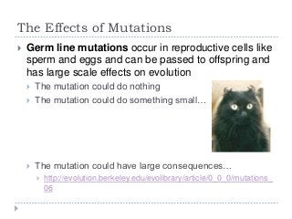 08 transcription, translation and mutation | PPTX | Programming Languages | Computing