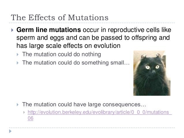 08 transcription, translation and mutation | PPT