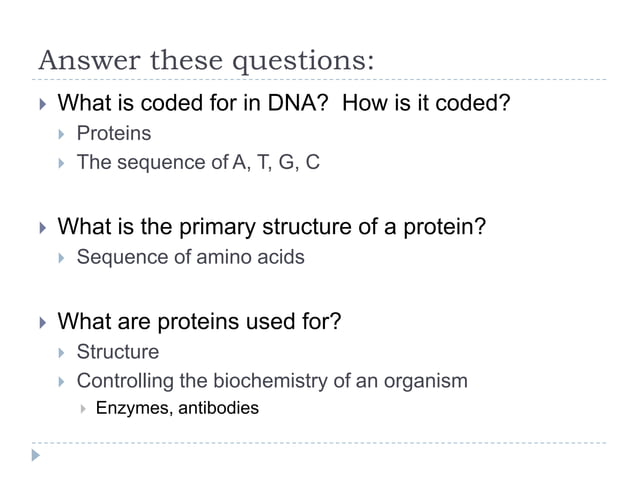 08 transcription, translation and mutation | PPTX | Programming Languages | Computing