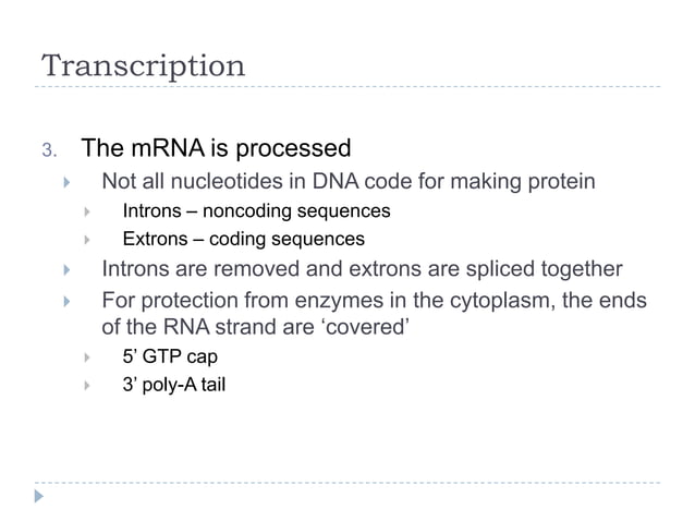 08 transcription, translation and mutation | PPTX | Programming Languages | Computing
