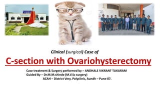 C Section With Ovariohysterectomy in feline.pptx