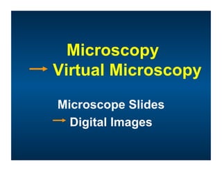 09.03.08: Medical Histology | PDF