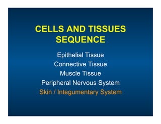 09.03.08: Medical Histology | PDF