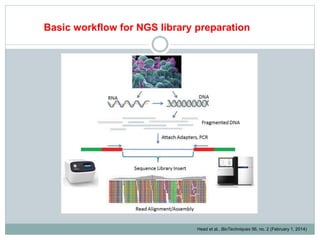 DNA SEQUENCING_BASICS_NGS_SANGER_NGS_SLIDES | PDF
