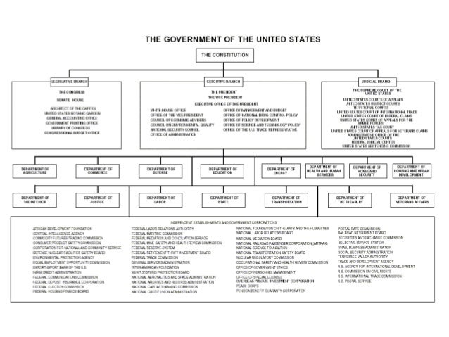 United States Federal Government Structure for International Students